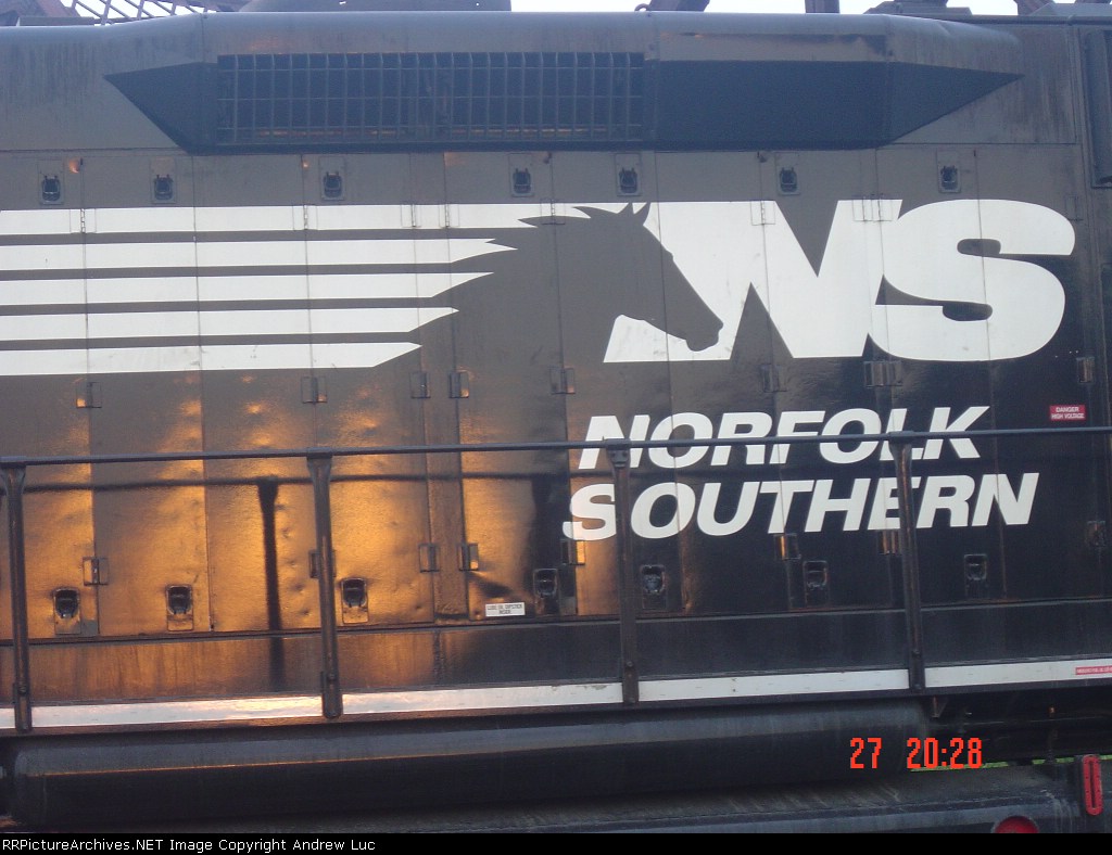 close up of NS 3037 horsehead paint